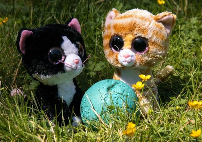 10 of the Best Cats Toys for Kids